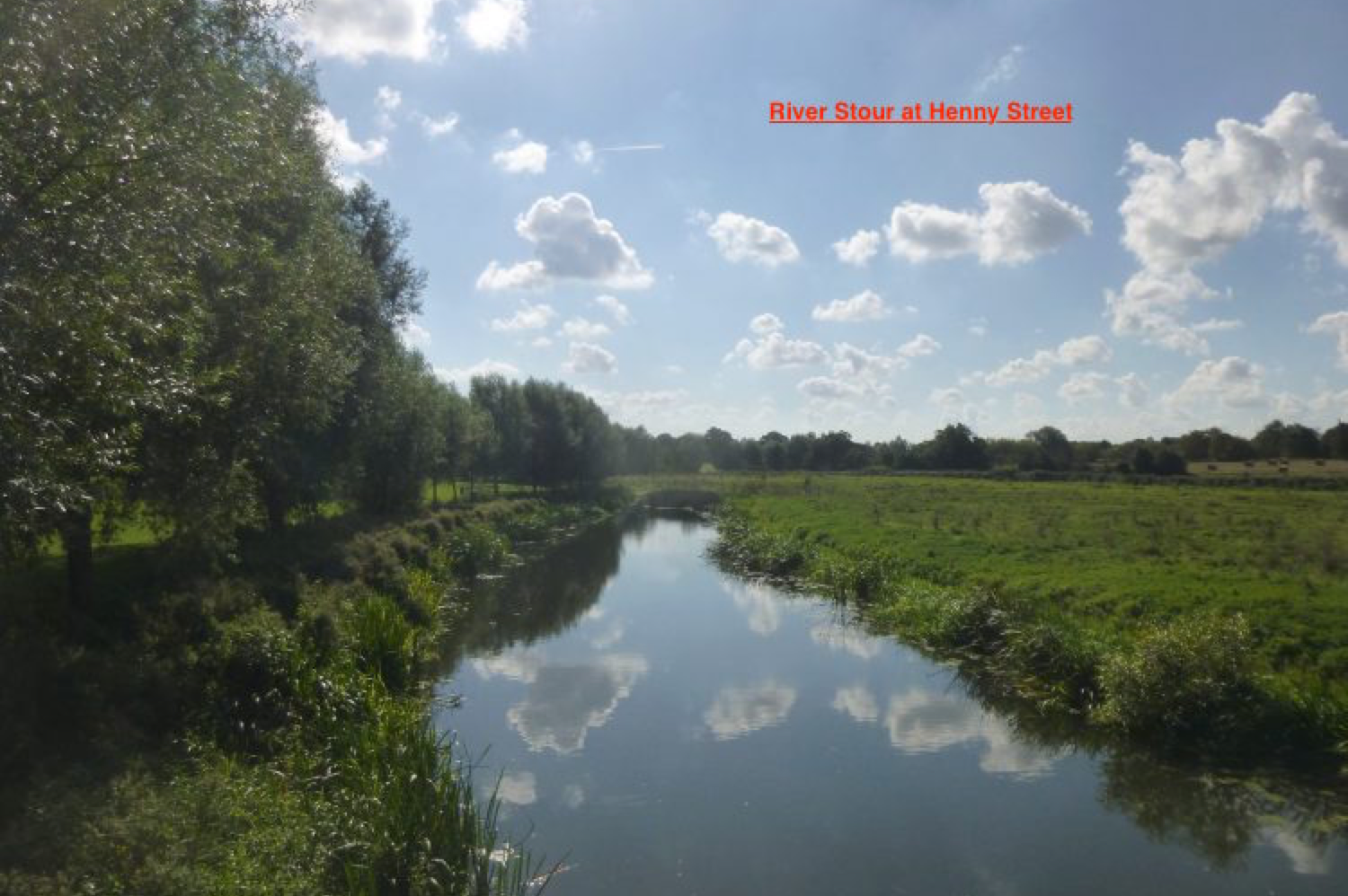 River Stour, Henny Street - Rother Fishery Association